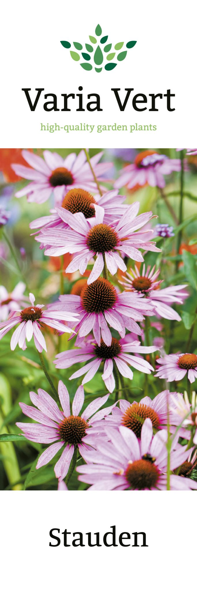 Webshop Varia Vert - Varia Vert - High-quality garden plants