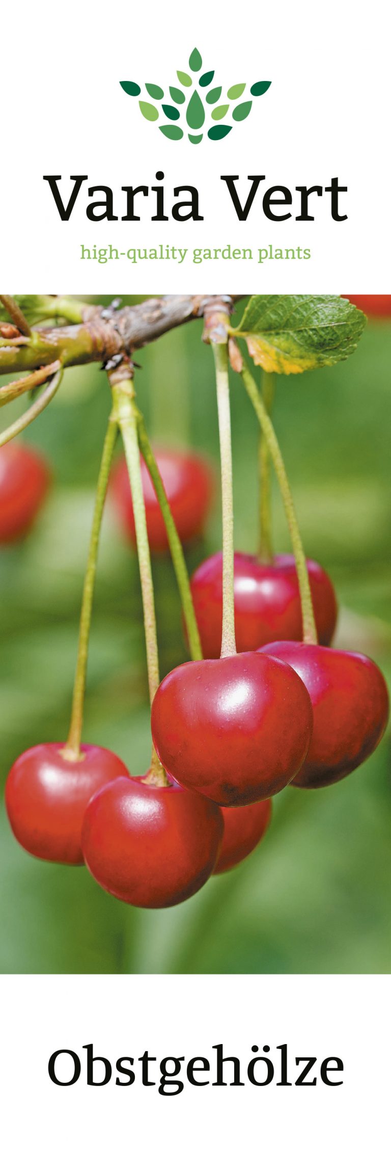 Webshop Varia Vert - Varia Vert - High-quality garden plants